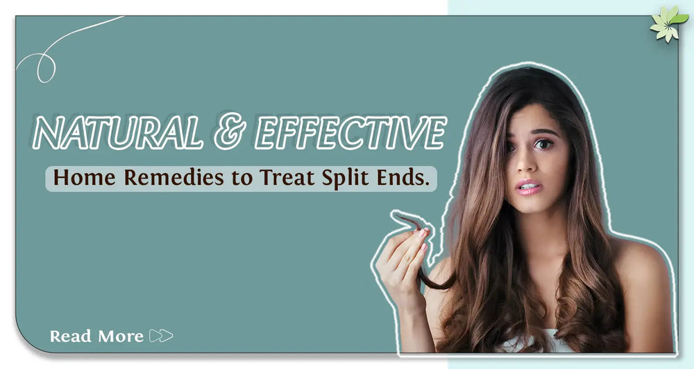 Natural & Effective Home Remedies to Treat Split Ends | MINATURE ...