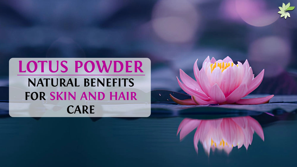 Lotus Powder: Natural Benefits for Skin and Hair Care – minaturewellness