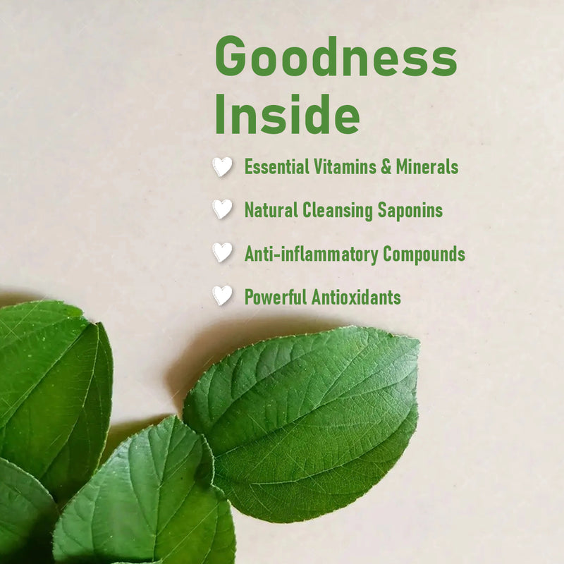 Sidr (Jujube) Powder for Healthy Hair and Scalp Care |MINATURE ...